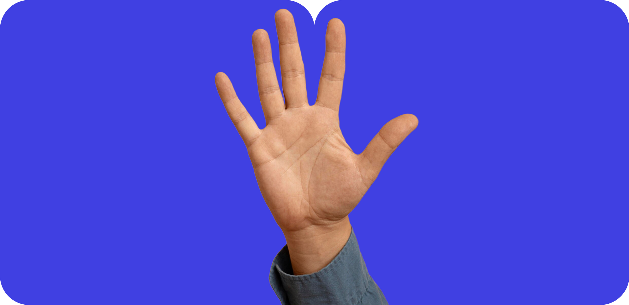 Website Audit | Statuo