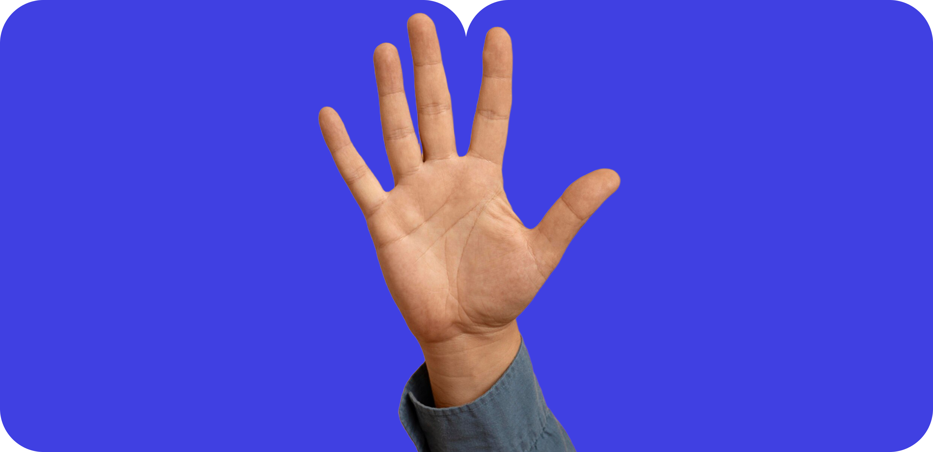 Website Audit | Statuo