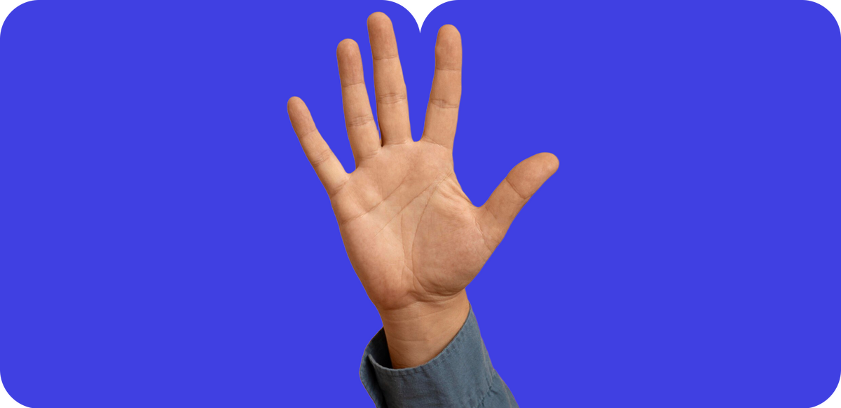 Website Audit | Statuo